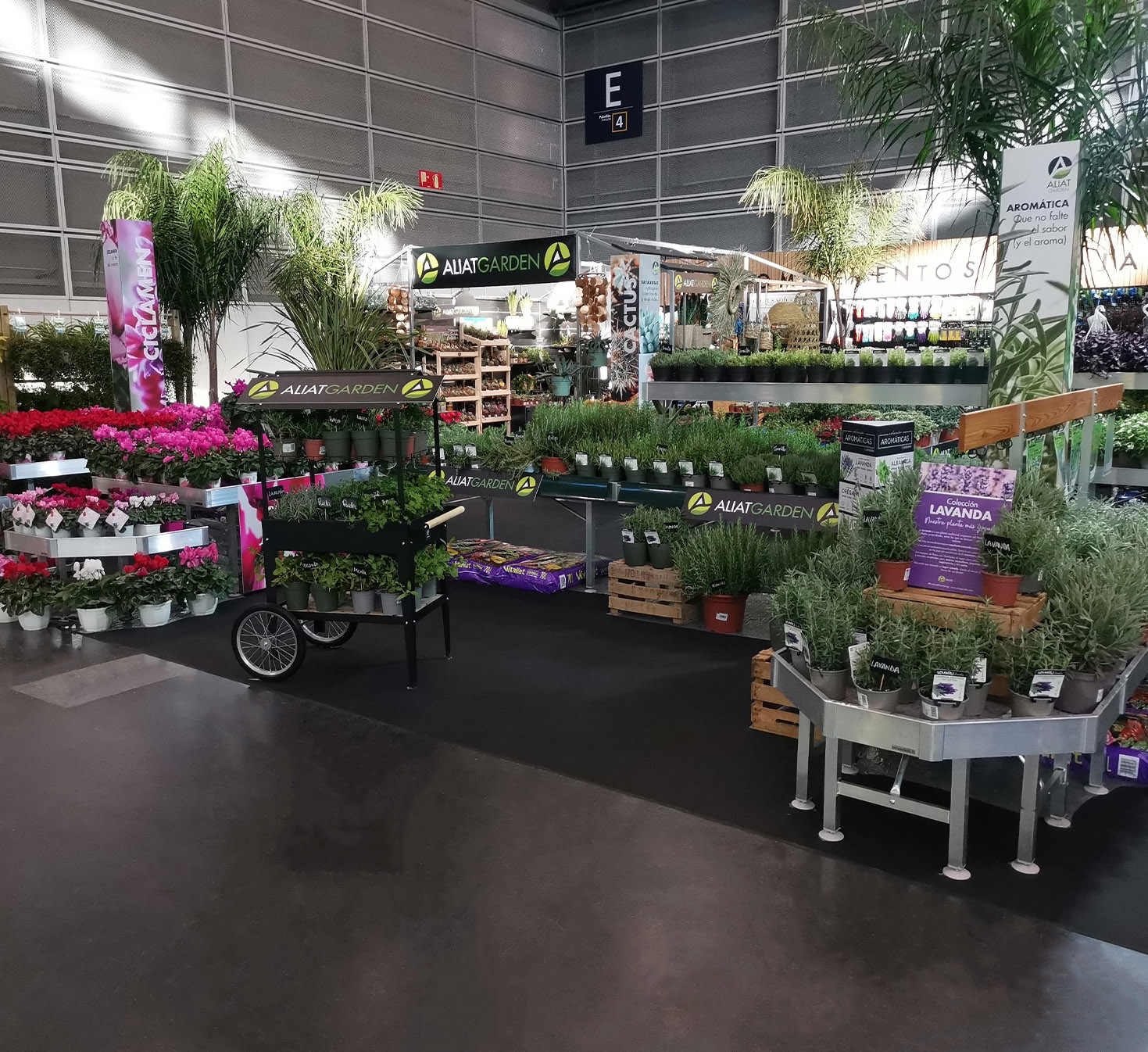 Hexagonal Display Set, Exhibition Set: Set 5 units + 2 Raised benches